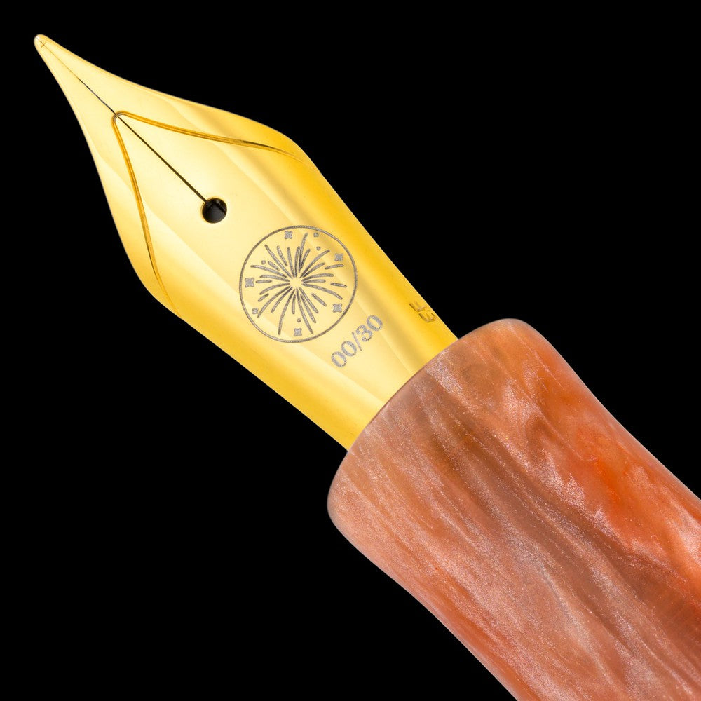 Tailored Pen Company New Year, New Hue! 2024 Fountain Pen | EndlessPens