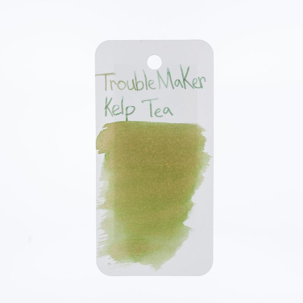 Troublemaker Ink Bottle (60 ml) - Shading Inks | EndlessPens